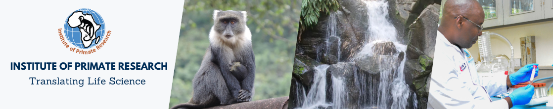 About Us – Institute of Primate Research